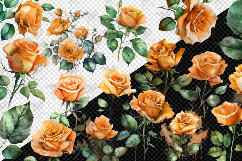 Orange Watercolor Roses Clipart Floral Roses and Leaves in - Etsy