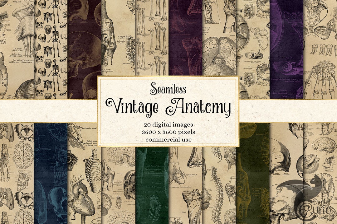 Vintage Anatomy Digital Paper, Seamless Grunge Texture (digital ...