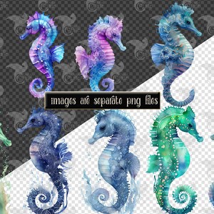 Watercolor Seahorse Clipart, Cute Nautical Ocean Animals PNG Clip Art ...