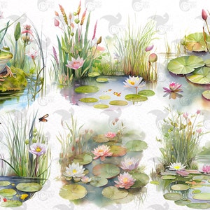 Watercolor Lily Pond Clipart - Springtime Cute Lily Pad and Frog Pond ...