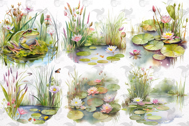 Watercolor Lily Pond Clipart Springtime Cute Lily Pad and - Etsy