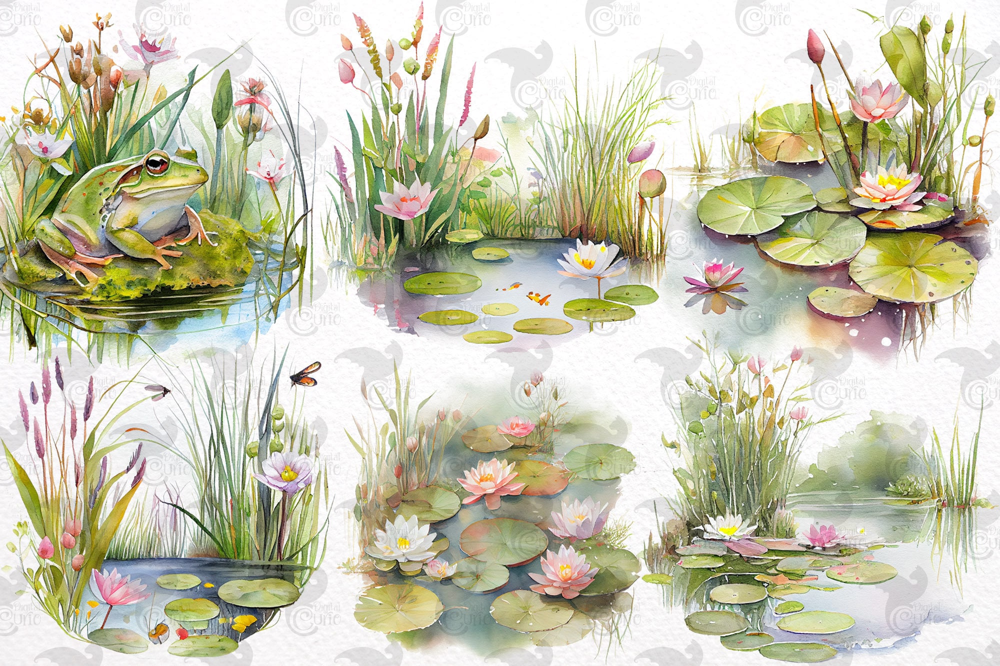 Watercolor Lily Pond Clipart – Frog & Lily Pad PNG (digital Download ...