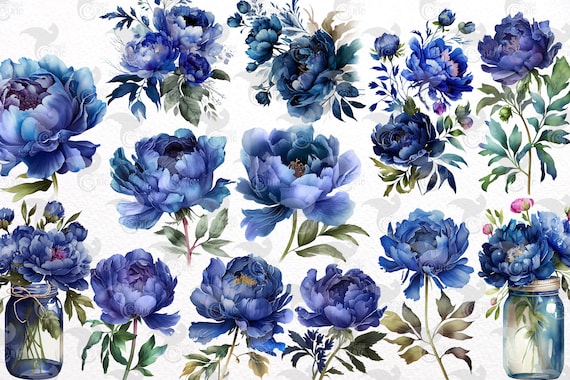 Navy Watercolor Peonies Clip Art