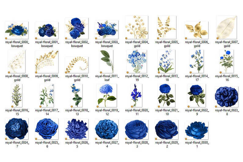 Royal Blue & Gold Floral Clipart, Wedding Rustic Flowers (PNG Files) - Etsy