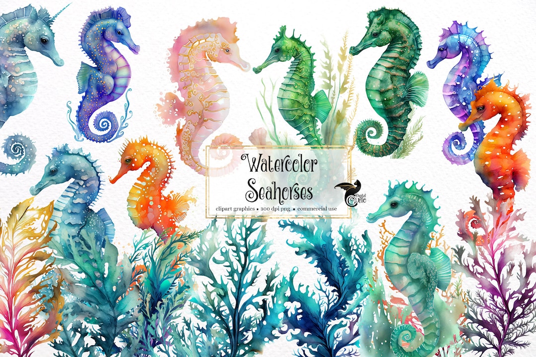 Watercolor Seahorse Clipart, Cute Nautical Ocean Animals PNG Clip Art ...