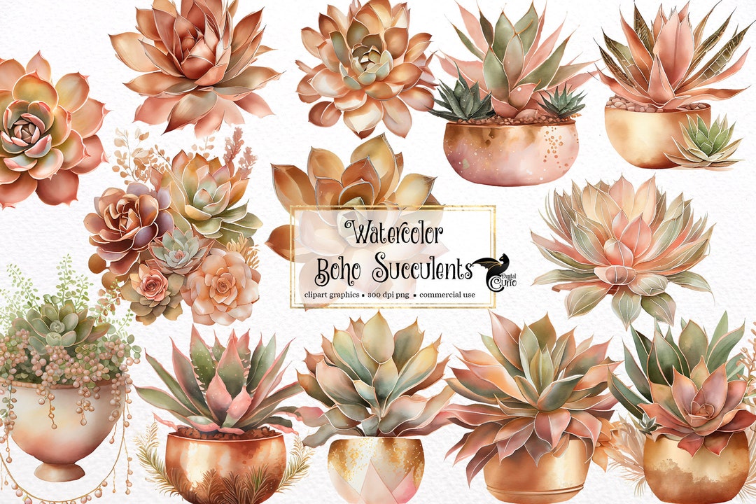 Watercolor Boho Succulents Clipart - Western Floral Wedding PNG Format ...