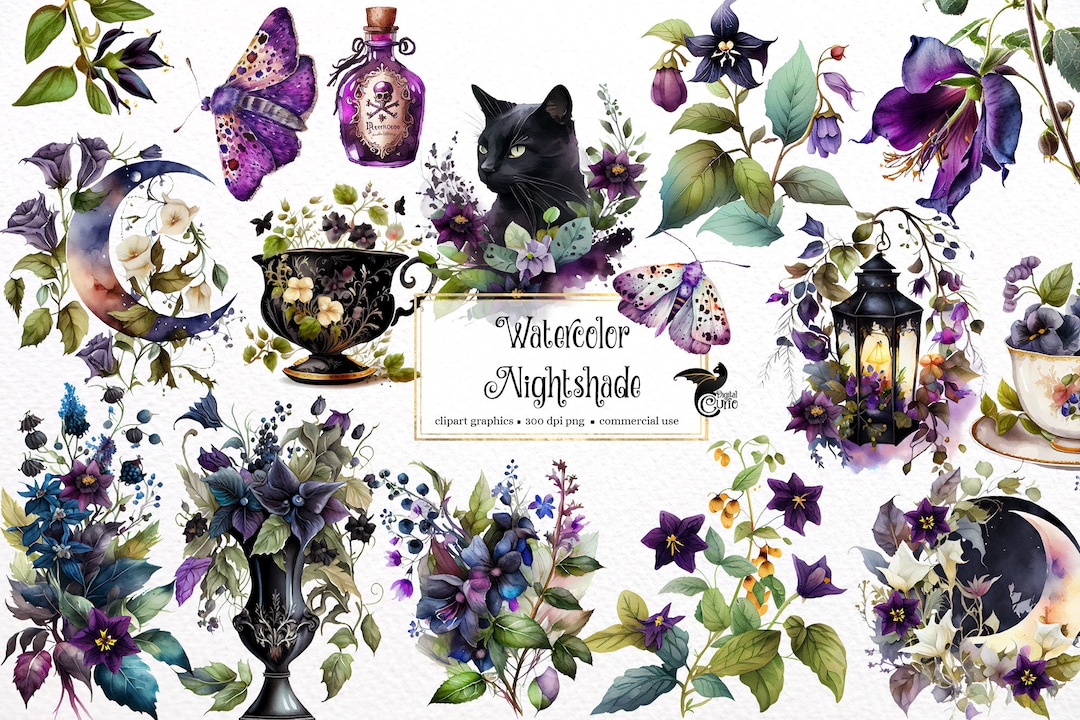 Watercolor Nightshade Clipart – Gothic Deadly Nightshade PNG (instant ...