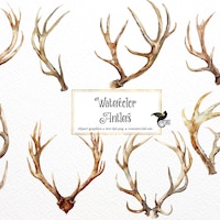 Deer Antler Floral Clipart: Buck Graphics (digital Download) - Etsy