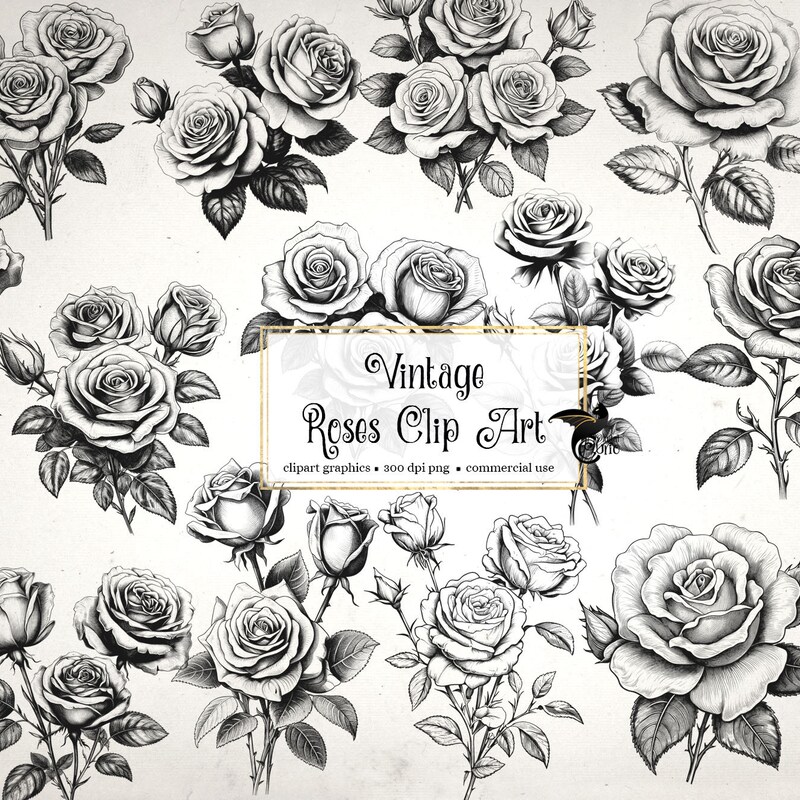 Vintage Rose Art - Etsy