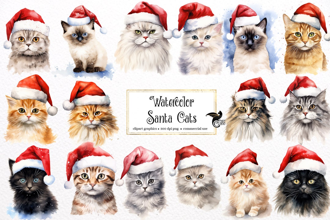 Watercolor Santa Cats Clipart - Cute Christmas Cats and Kittens PNG Format Instant Download for ...