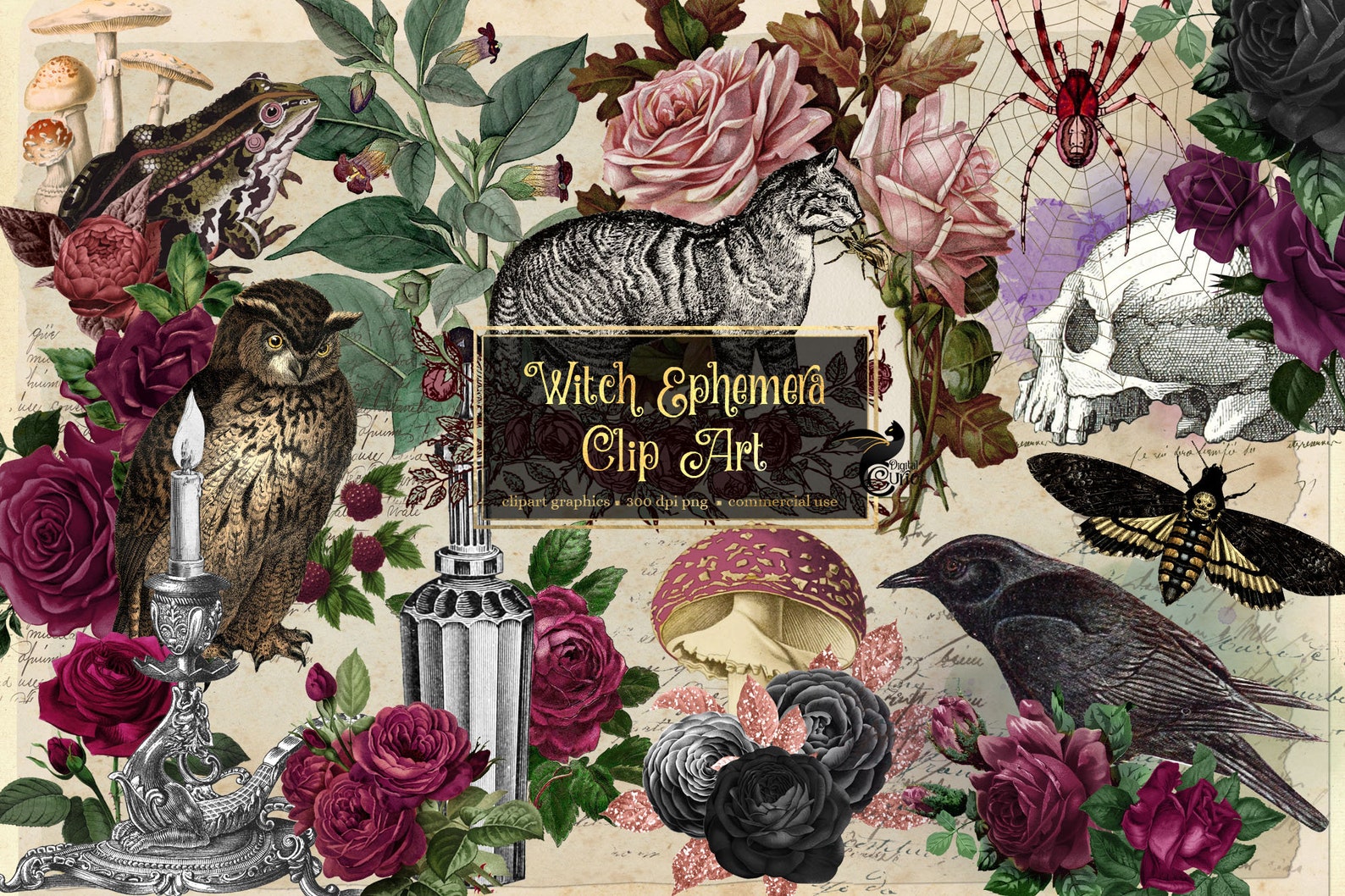 Witch Ephemera Clipart Vintage Antique Halloween Clip Art - Etsy