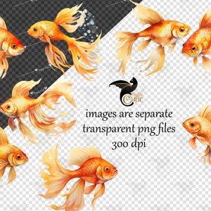 Watercolor Goldfish Clipart, Gold Fish Fish PNG Clip Art Graphics ...