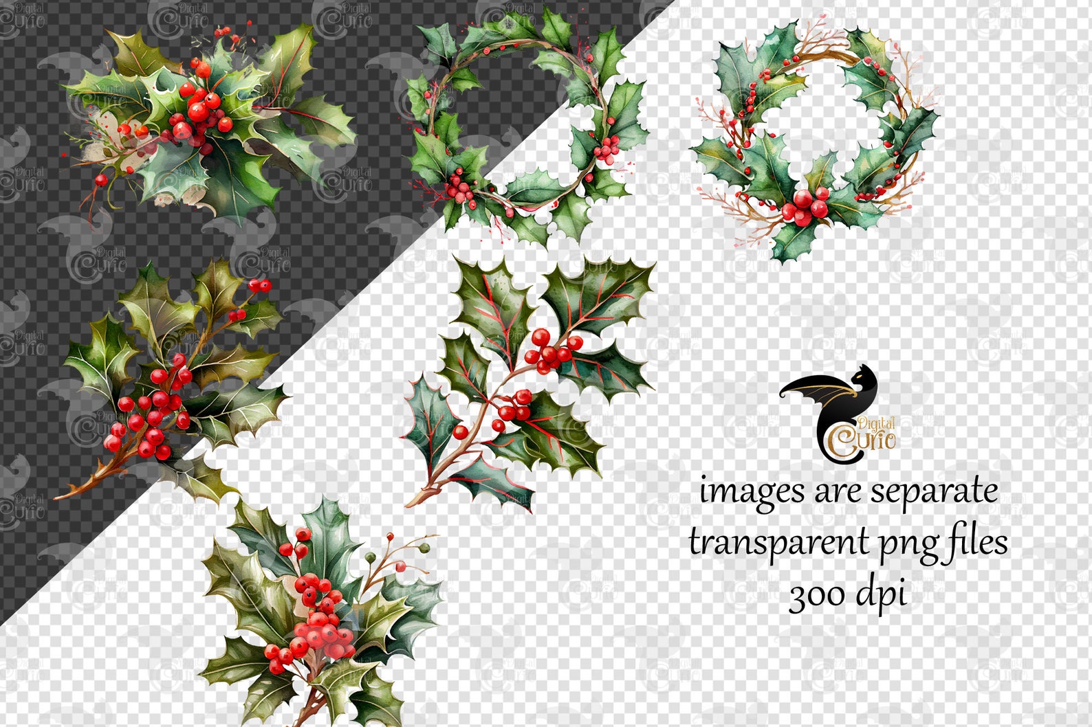 Watercolor Holly Clipart – Winter Botanical PNG Images (digital ...