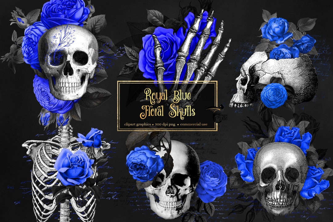 Royal Blue Floral Skull Elements, Antique Illustrations of Human Skulls ...