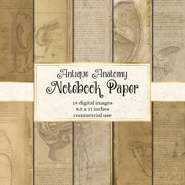 Digital Paper Anatomy Drawings - Etsy