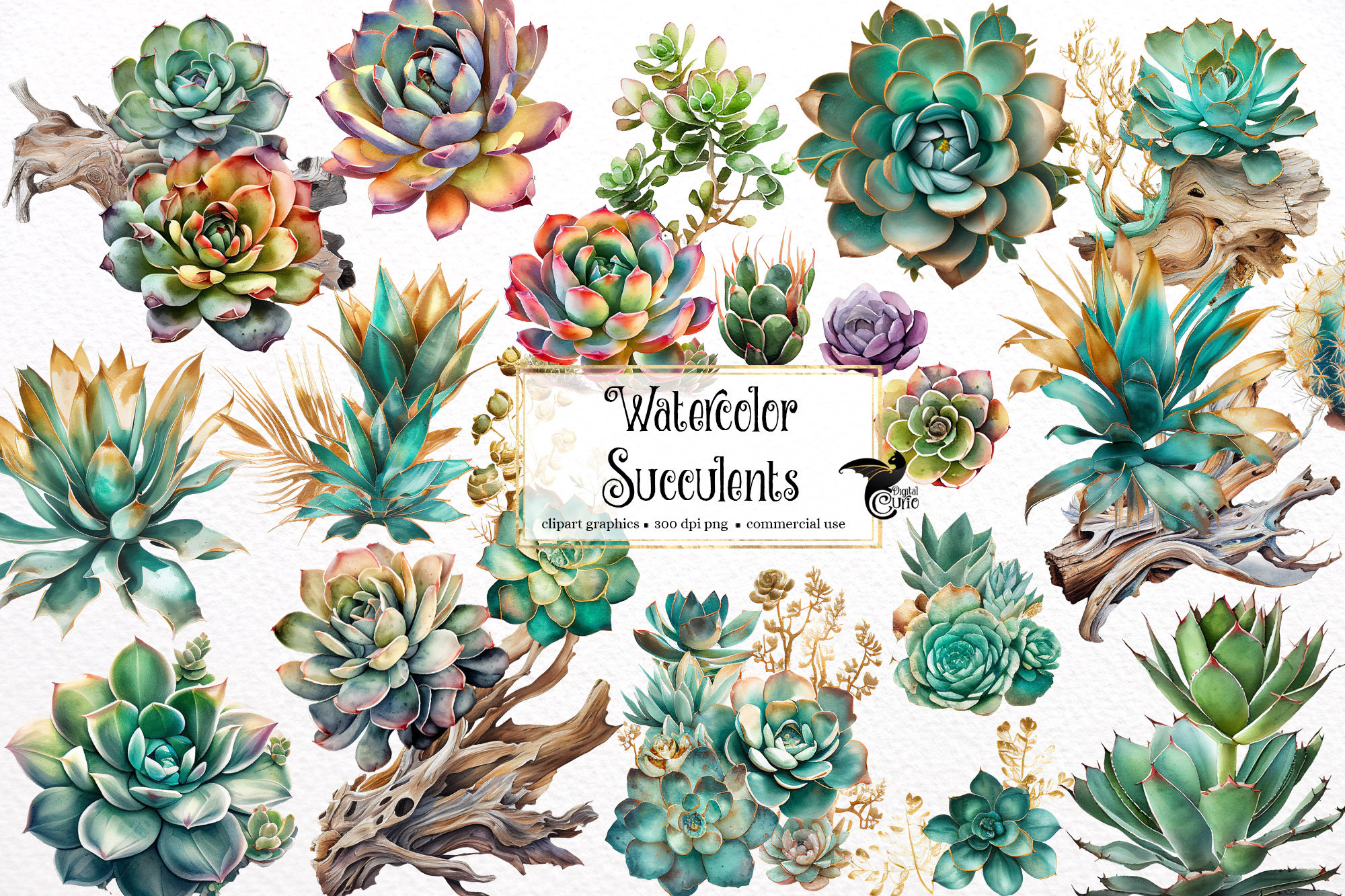 Succulent Leaf Clip Art