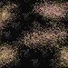 Chunky Pink and Gold Glitter Overlays, Digital Glitter Png Overlays ...