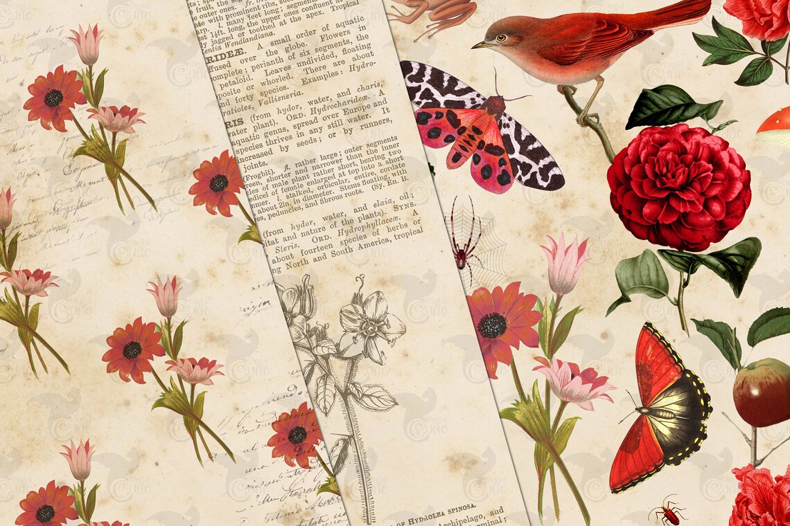 Vintage Naturalist Digital Paper Seamless Forest Animal - Etsy