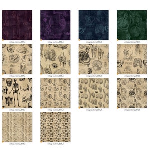 Vintage Anatomy Digital Paper, Seamless Grunge Texture (digital ...