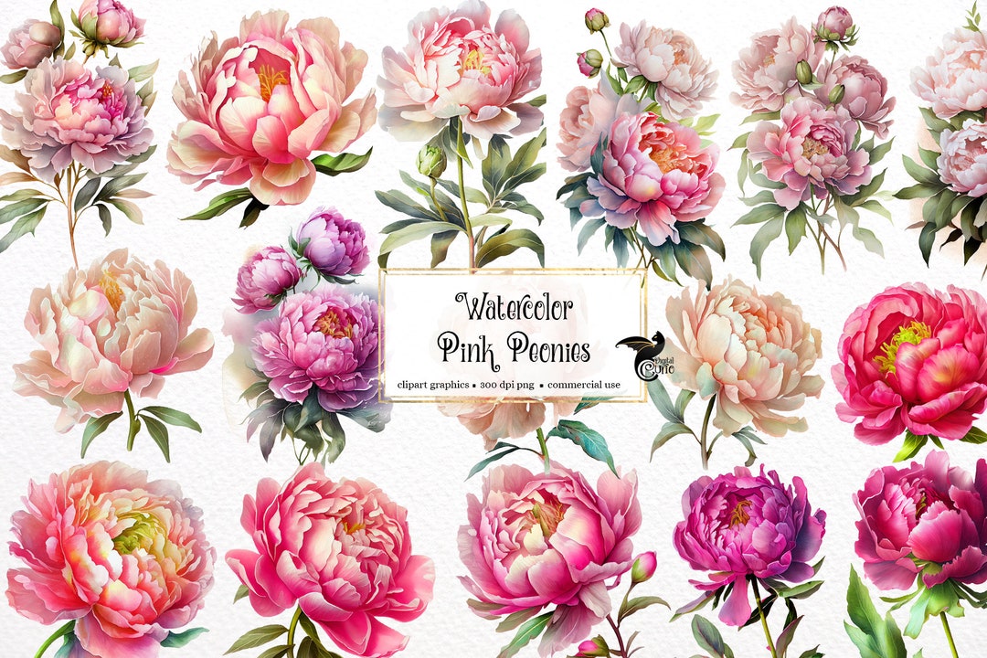Watercolor Pink Peony Clipart - Peonies in PNG Format Instant Download ...