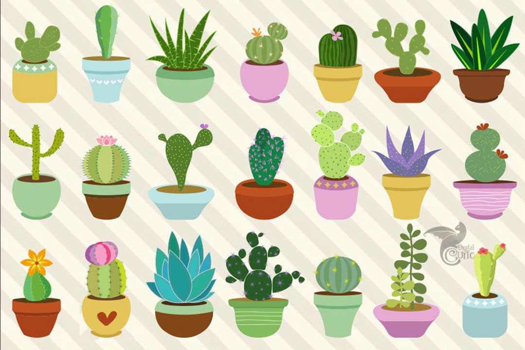 Cacti and Succulents Clip Art - Cactus Desert PNG and Vector Clipart ...