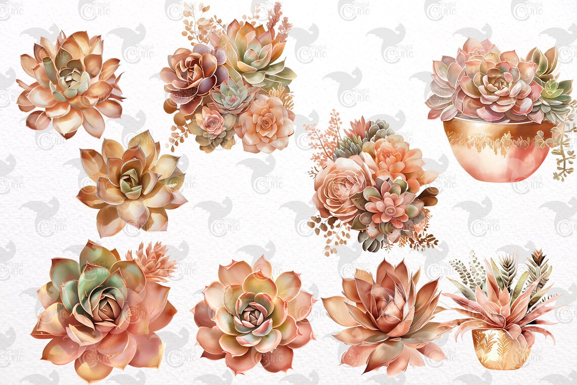 Watercolor Boho Succulents Clipart - Western Floral Wedding PNG Format ...