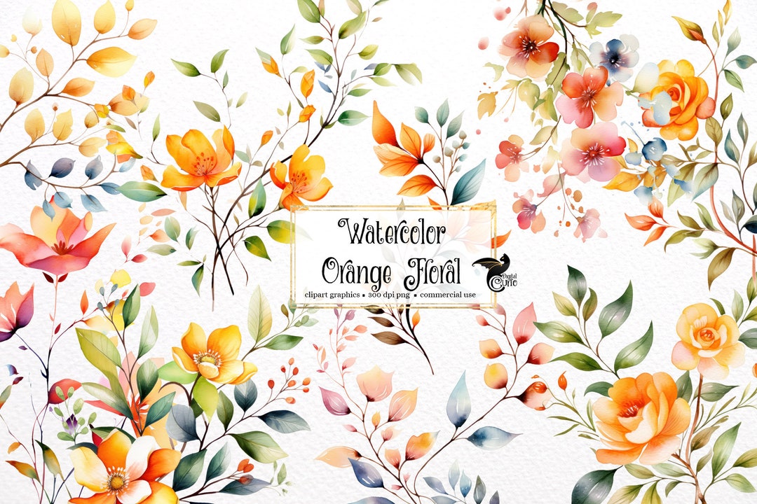 Watercolor Orange Floral Clipart - Botanical Leaves and Flowers in PNG ...