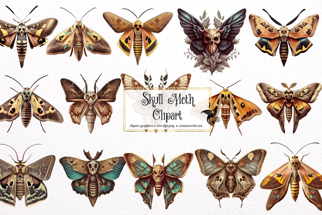 Skull Moth Clipart, Death's Head Moth Graphics (digital Download) - Etsy