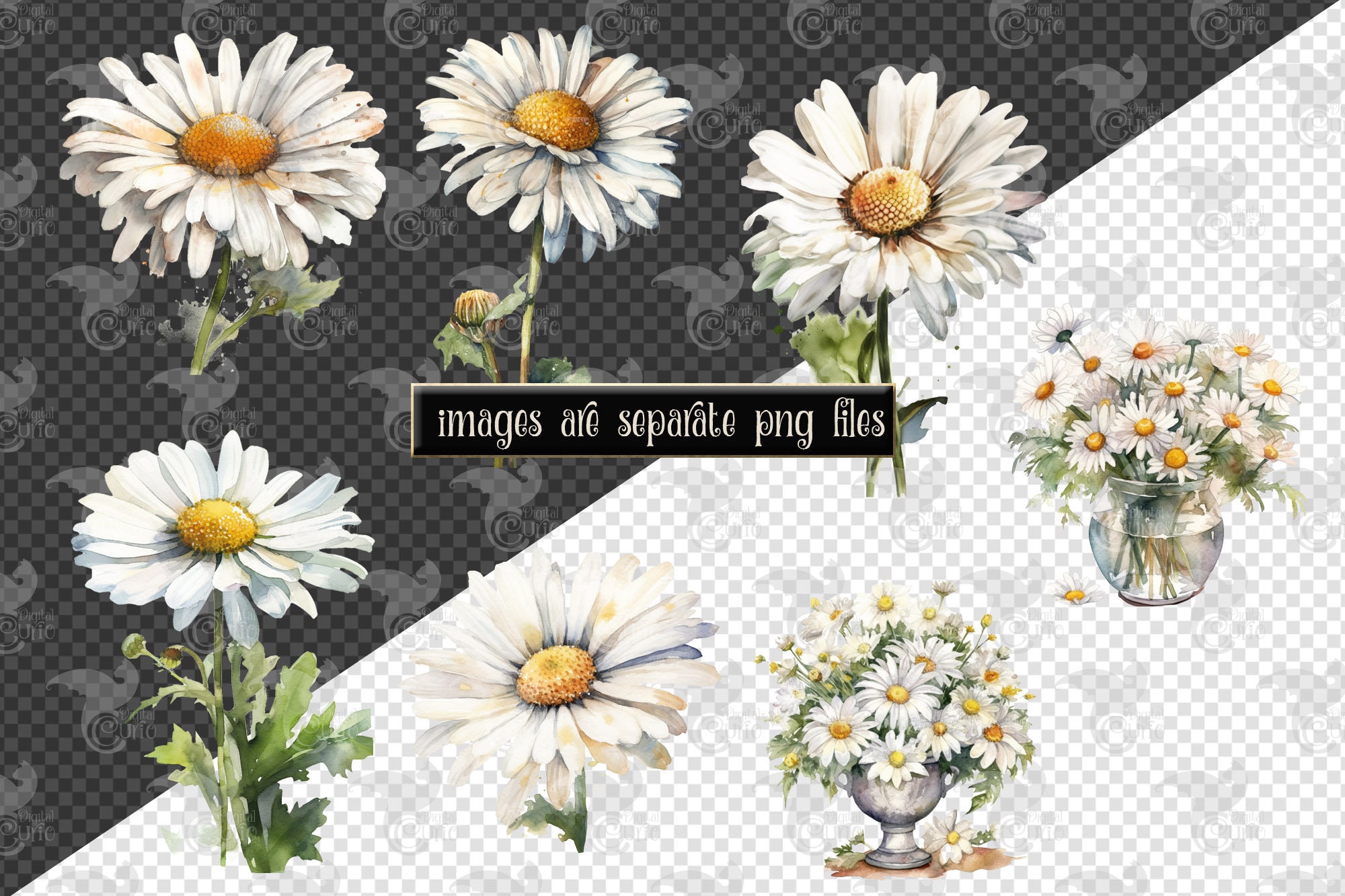 Watercolor Daisies Clipart - Spring Floral PNG Format Instant Download ...