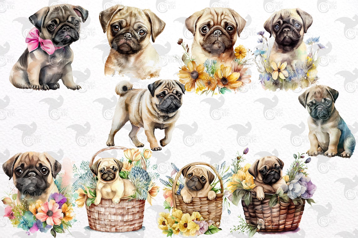 Watercolor Pugs Clipart - Cute Pug Dogs and Puppies PNG Format Instant ...