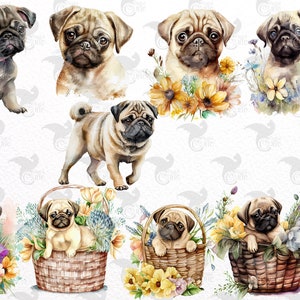 Watercolor Pugs Clipart - Cute Pug Dogs and Puppies PNG Format Instant ...
