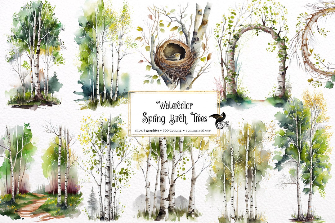 Watercolor Birch Tree Clipart – Spring Forest PNG (digital Download) - Etsy