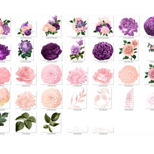 Peach Pink and Lavender Floral Clip Art for Instant Download Commercial ...