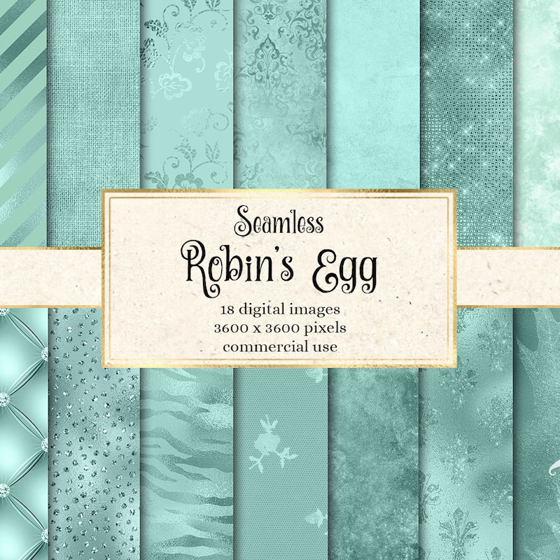 Robin Egg Blue - Etsy