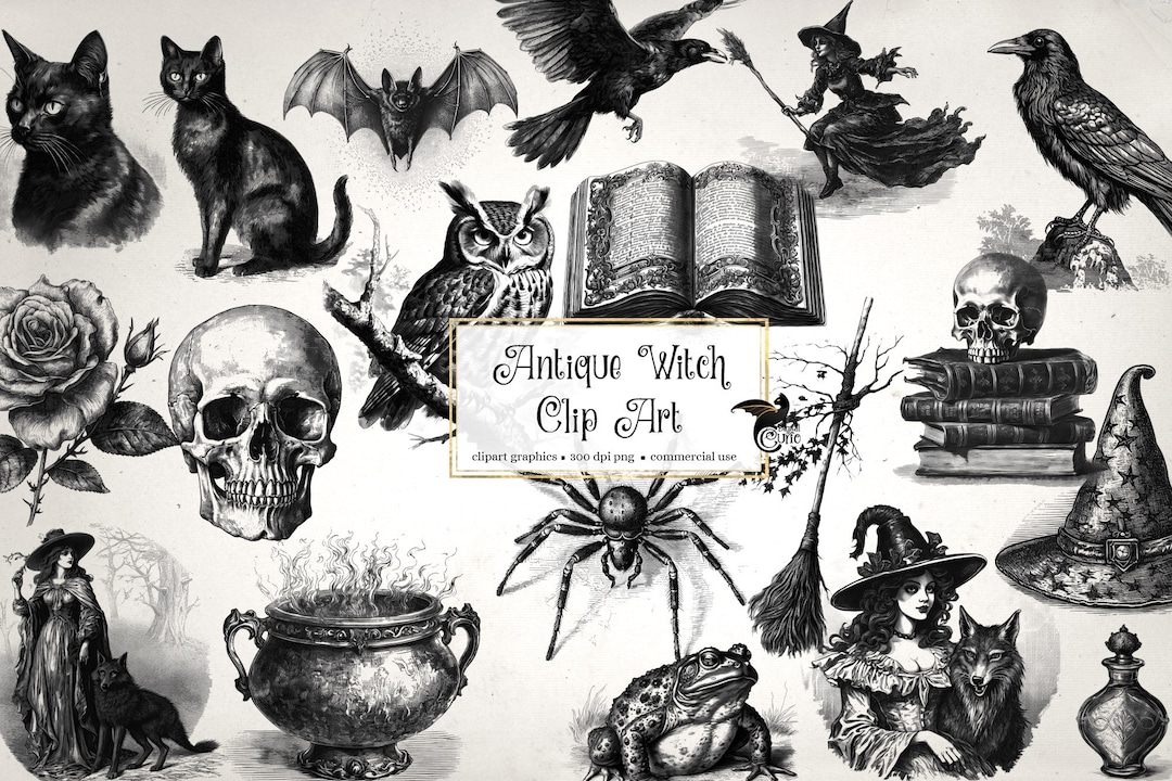 Vintage Witch Clipart, Halloween Graphics, Skulls, Bats (digital ...