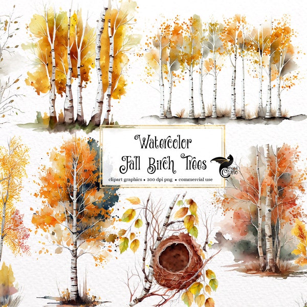 Birch Tree Forest - Etsy