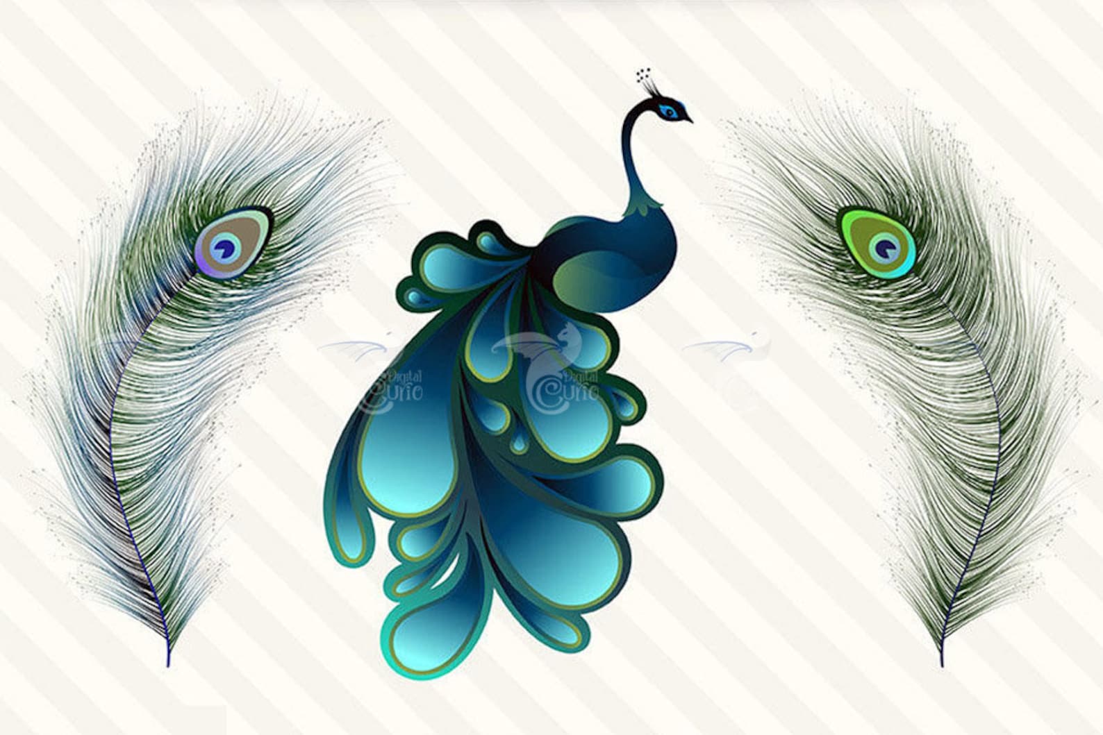 Peacock Clipart Elegant Peacock PNG and Vector Clip art Set | Etsy