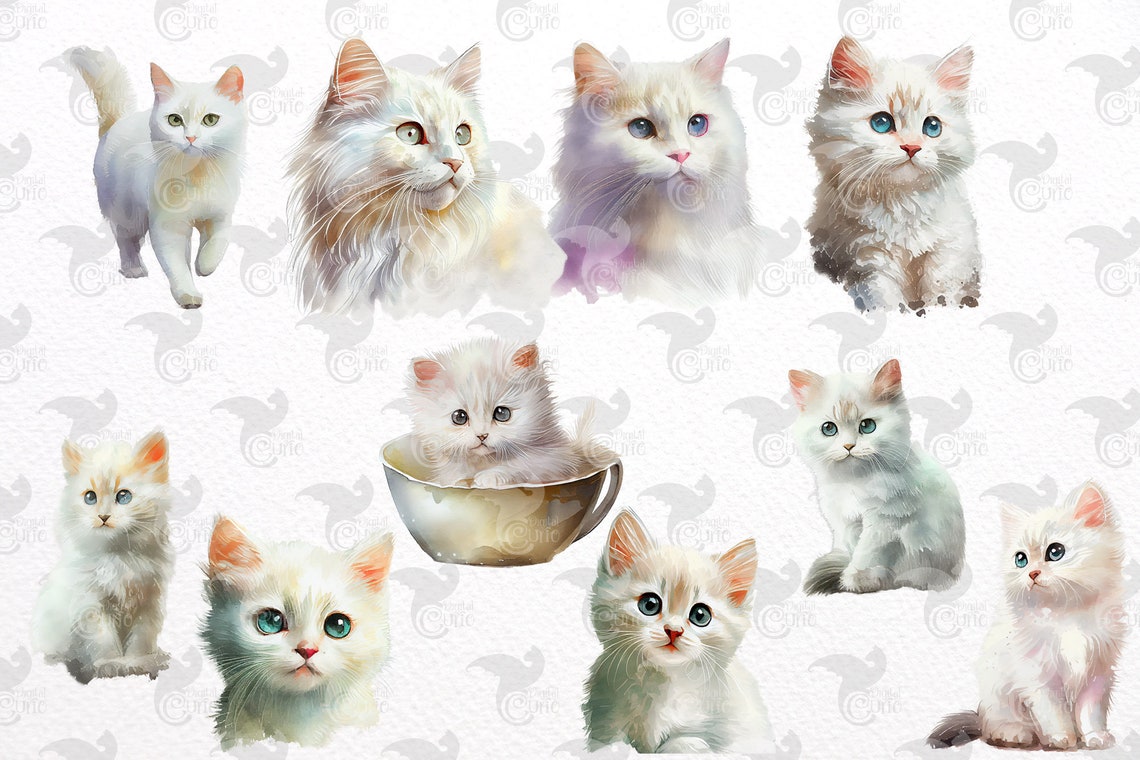 Watercolor White Cats Clipart - Cute Cats and Kittens PNG Format ...