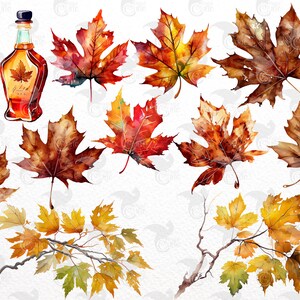 Watercolor Maple Clipart - Autumn Maple Leaves and Branches PNG Format ...