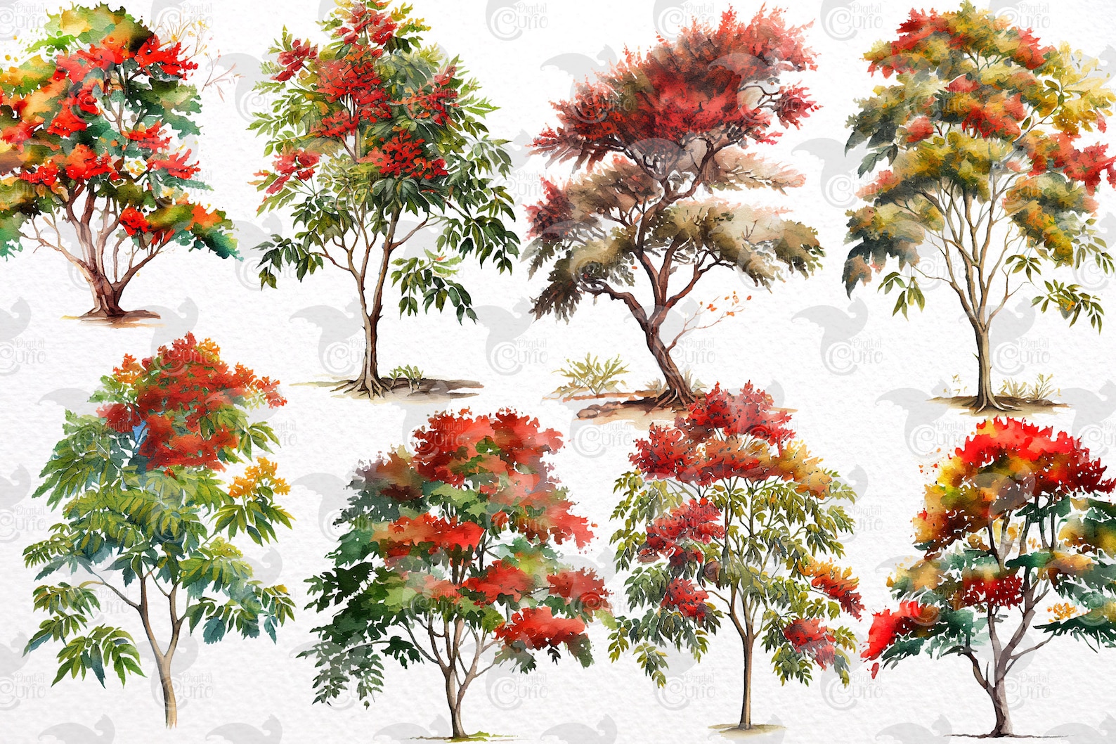 Watercolor Rowan Trees Clipart Autumn Forest PNG Format - Etsy