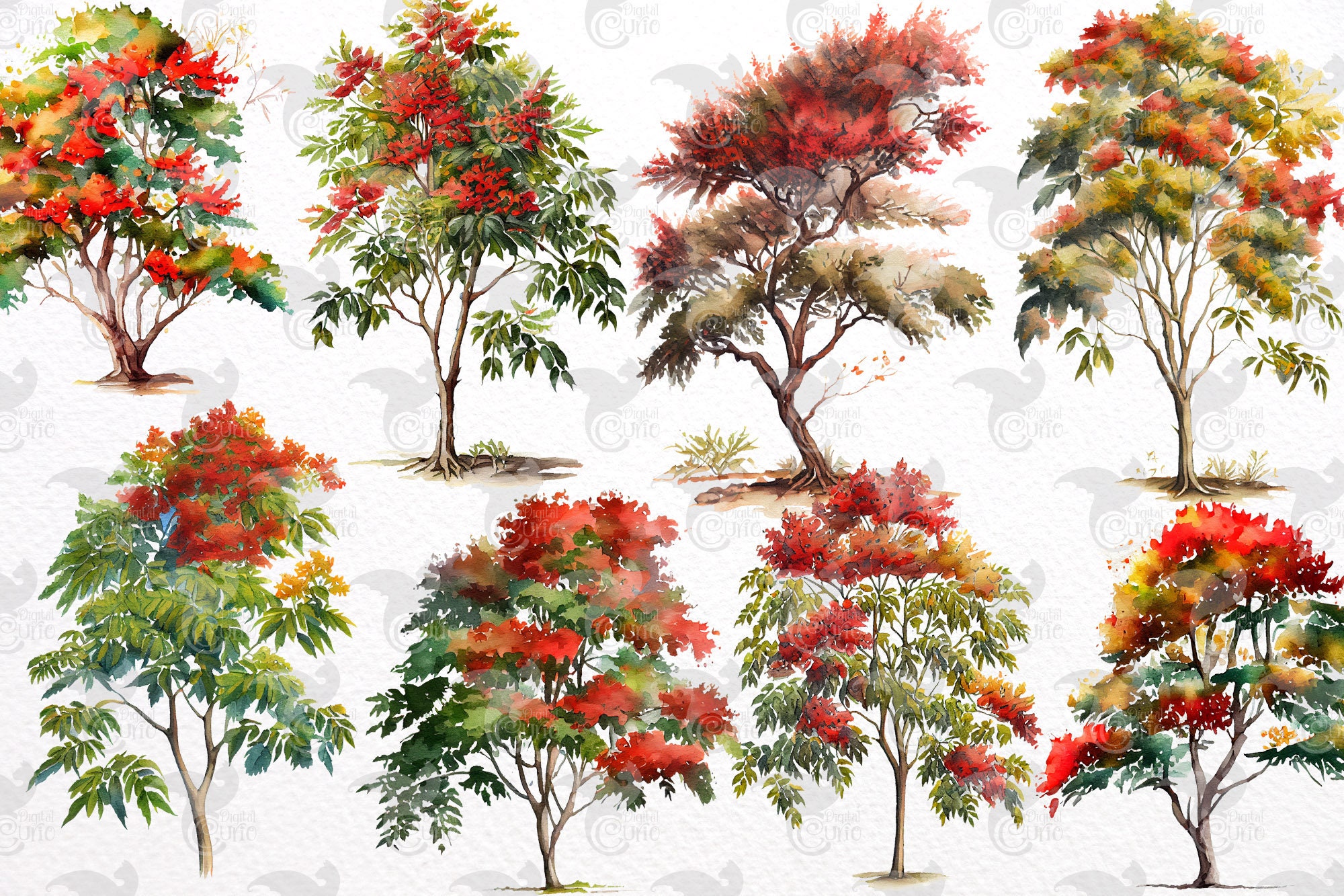 Watercolor Rowan Trees Clipart - Autumn Forest PNG Format Instant ...