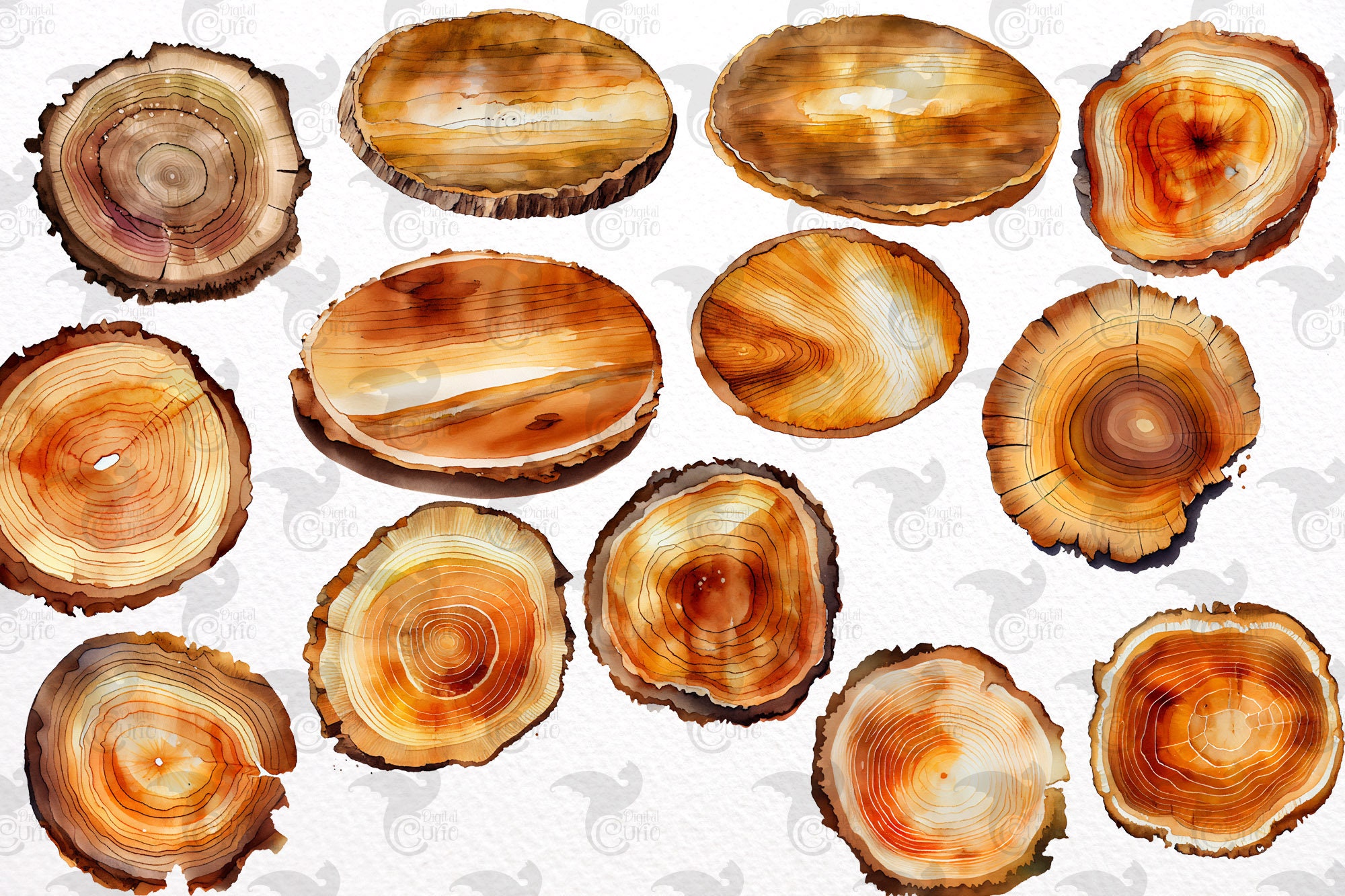Watercolor Wood Slices Clipart – Rustic Frames PNG (digital Download ...