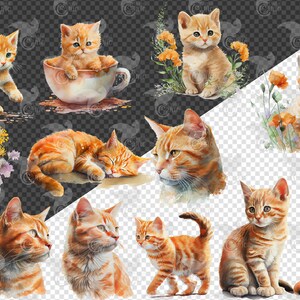 Watercolor Orange Cats Clipart - Cute Floral Tabby Cats and Kittens ...