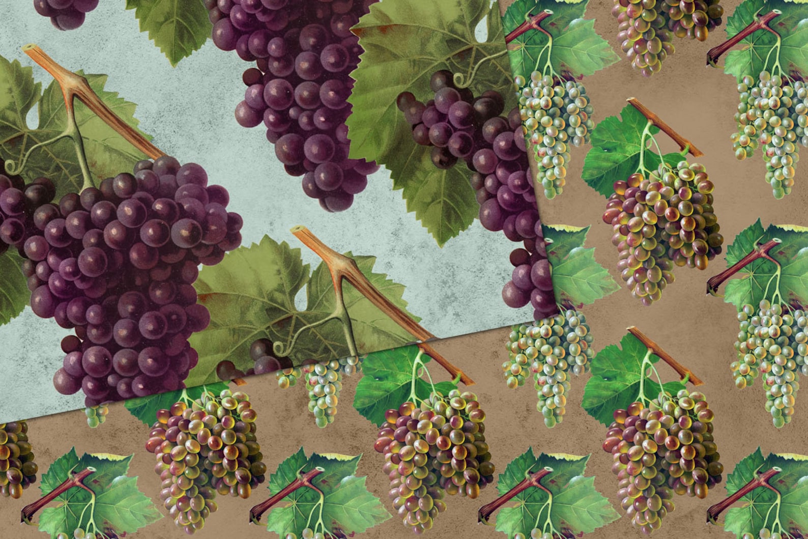 Vintage Wine Grape Digital Paper, Seamless Botanical Scrapbook (digital ...