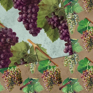 Vintage Grapes Digital Paper, Seamless Antique Wine Grape Illustrations ...