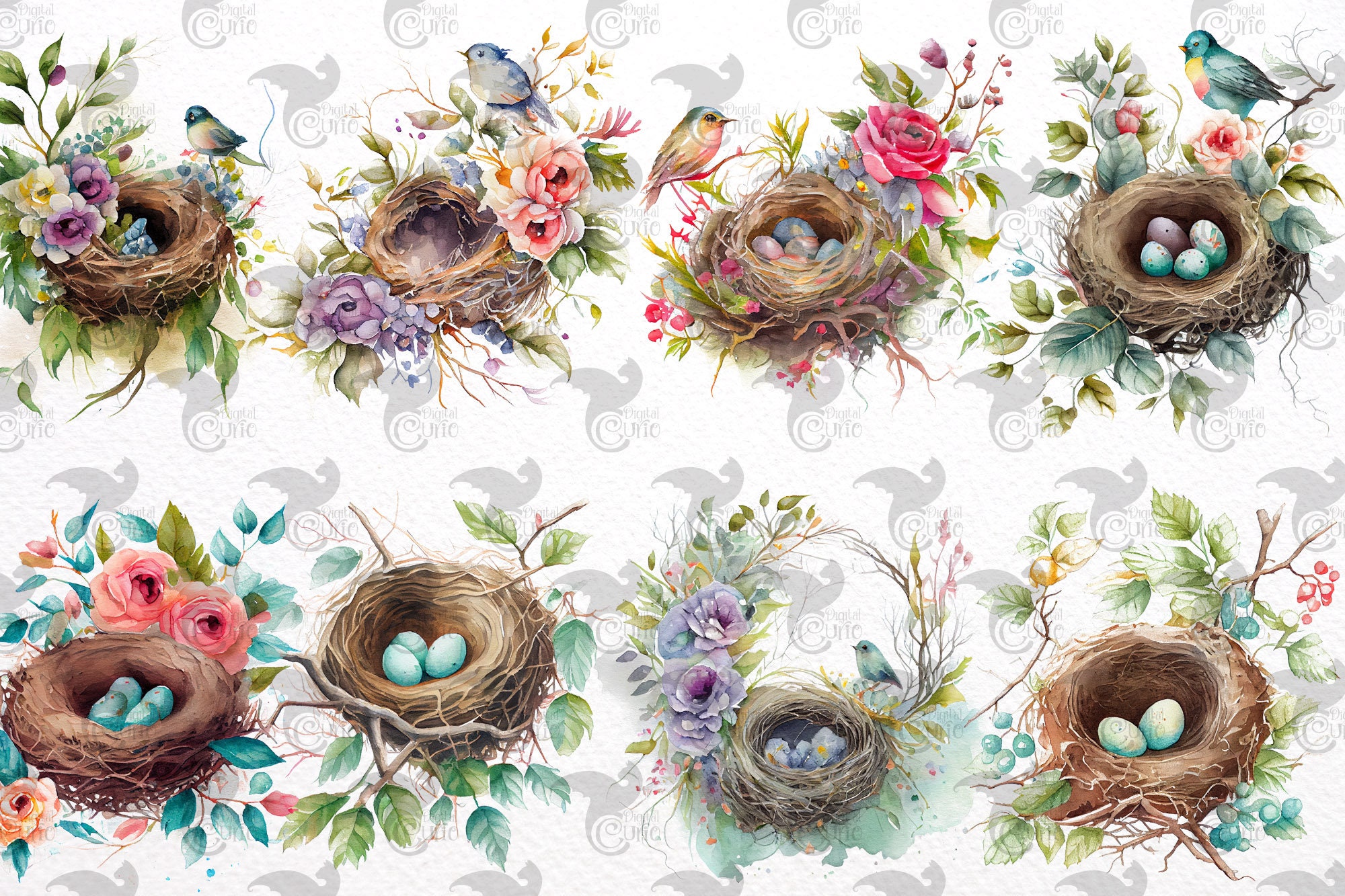 Watercolor Bird Nests Clipart – Springtime Blossoms, PNG (digital ...