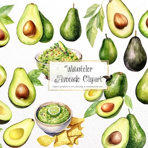 Watercolor Avocado Clipart - Avocados and Guacamole Graphics in PNG ...
