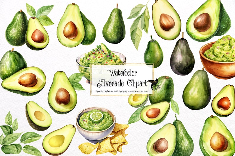 Watercolor Avocado Clipart – Guacamole Graphics, PNG (digital Download ...
