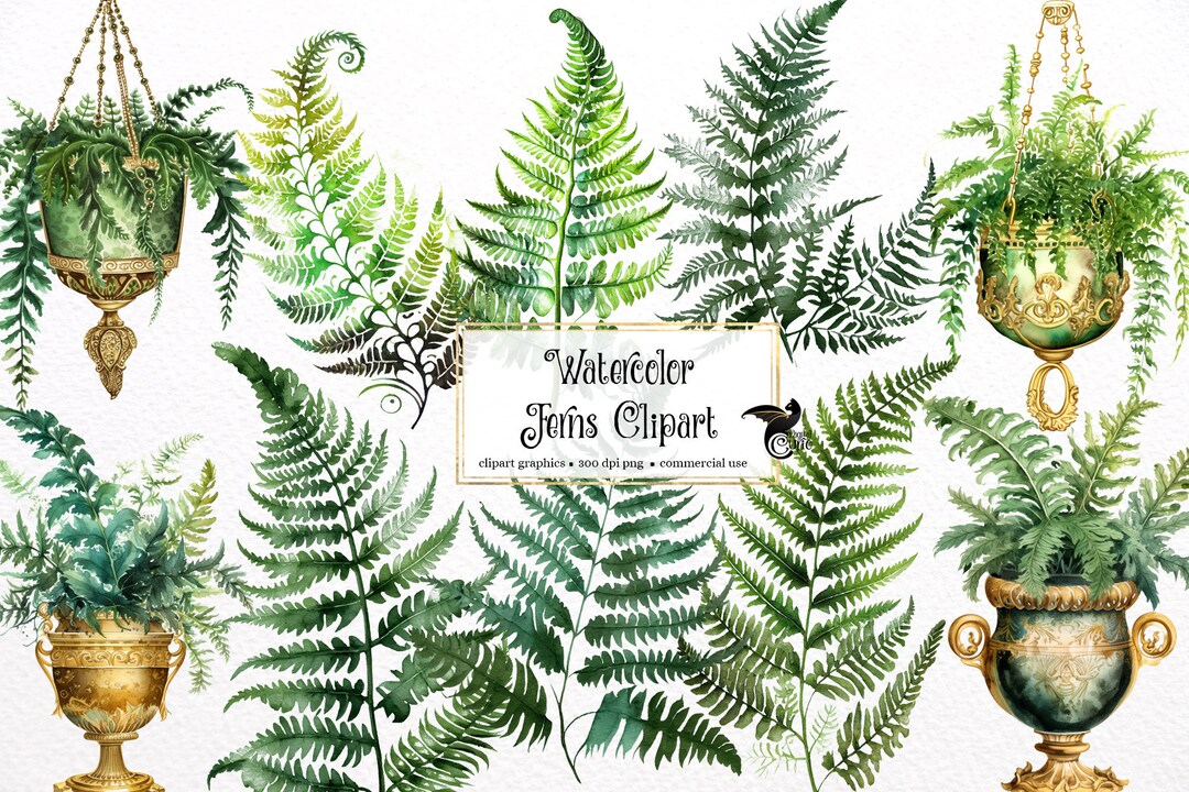 Watercolor Ferns Clipart - House Plant Potted and Hanging Fern Leaves ...