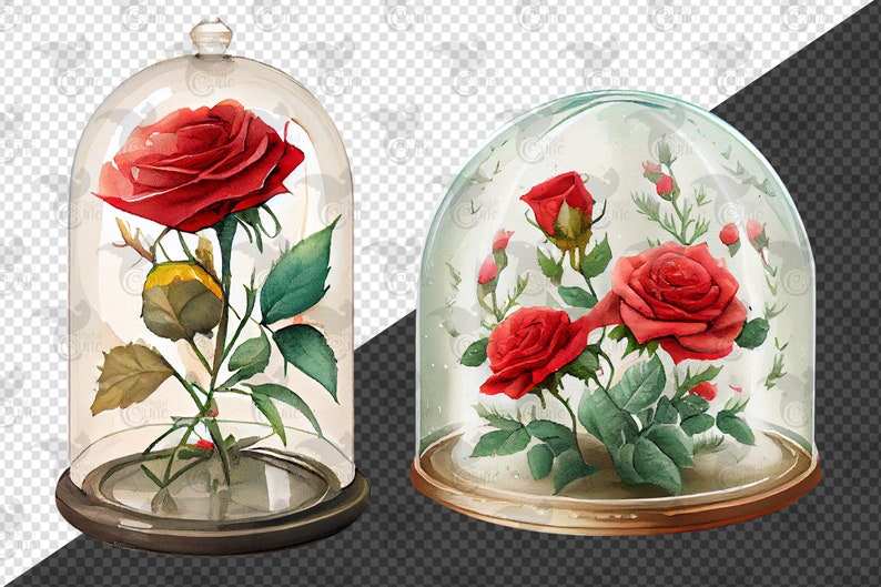 Watercolor Rose Glass Domes Clipart Watercolor Flower - Etsy